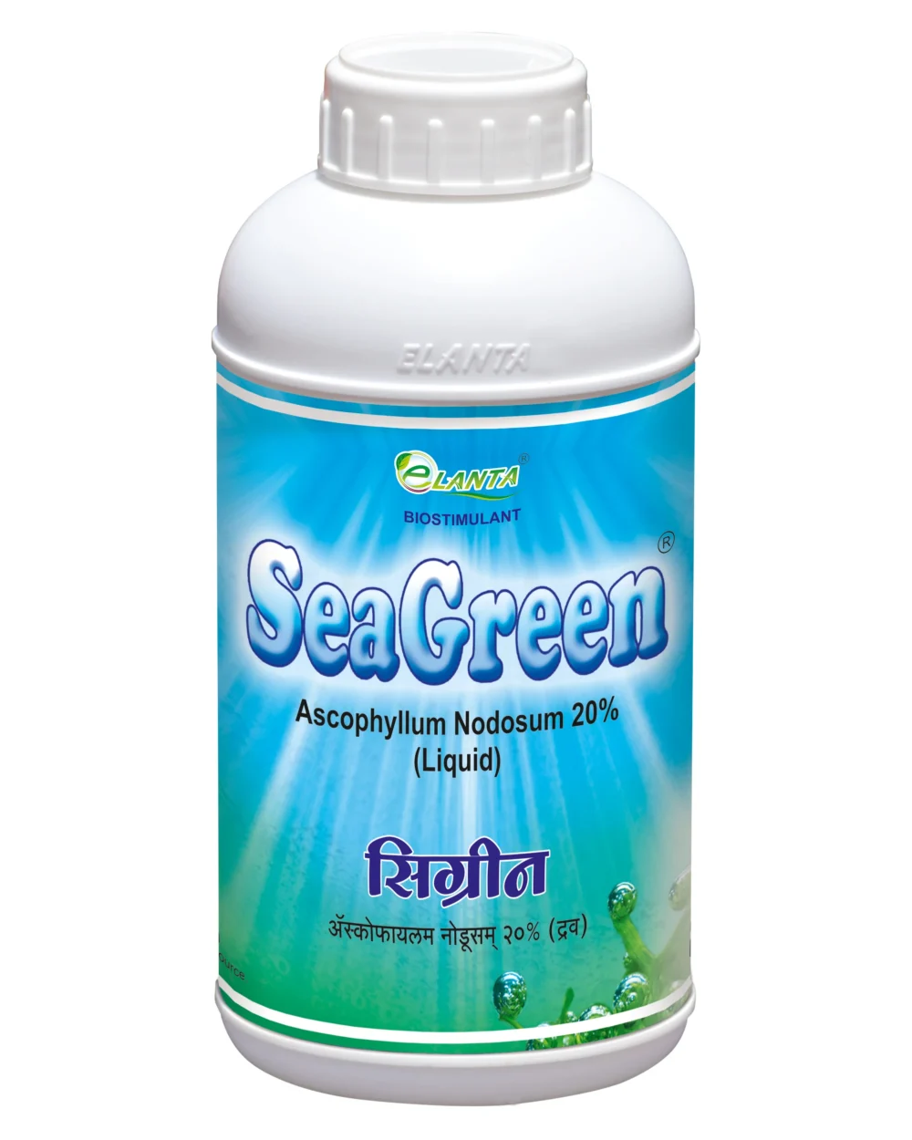 Seagreen - Elanta Agro